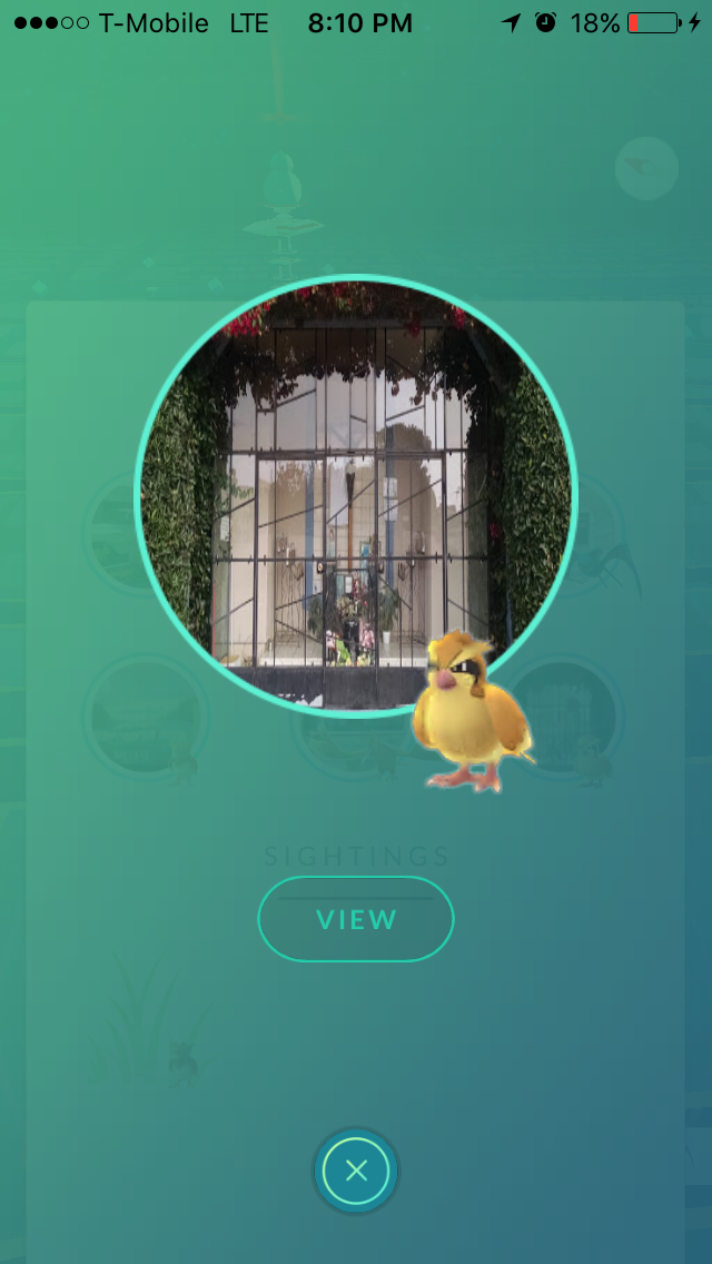 Revelado el nuevo sistema de radar de Pokémon GO • Centro Pokémon